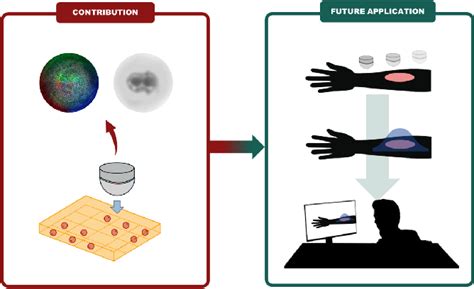 embedded object detection and mapping in soft materials using optical