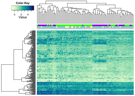 Chapter Heatmaps Et Al Base R Visualization In R Workshop