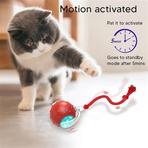 Rolling Ball Cat Toy Catastic