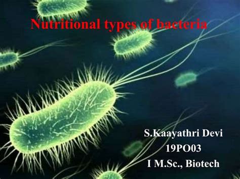 Types Of Bacteria Pictures