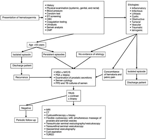 Hematospermia Evaluation Algorithm Mri Magnetic Resonance Imaging Download Scientific