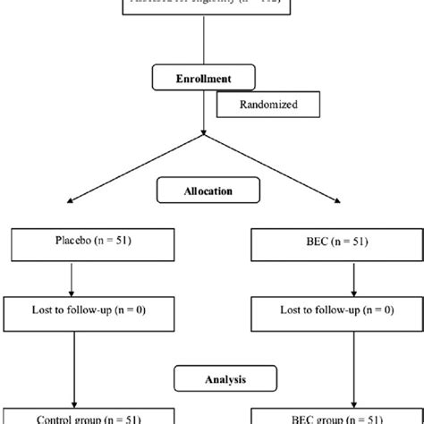 Summary Of The Randomized Double Blind Trial Download Scientific Diagram