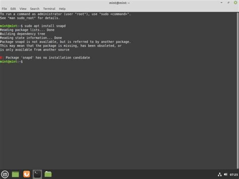 How To Enable Snap On Linux Mint And Install Snap Packages