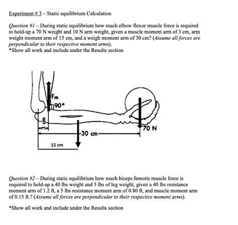 Solved Experiment Static Equilibrium Calculation Chegg Com