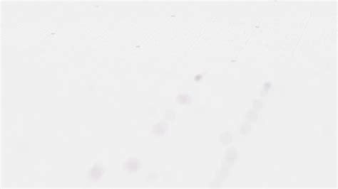 Deepika Singh On Linkedin August Newsletter