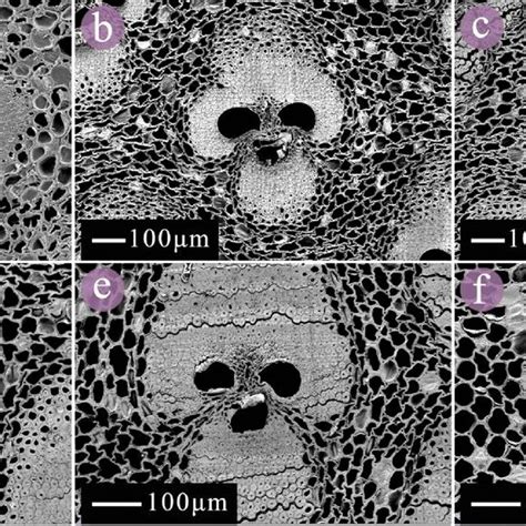 Schematics Of Processing Bamboo Culm Into Flattened Bamboo A Bamboo Download Scientific