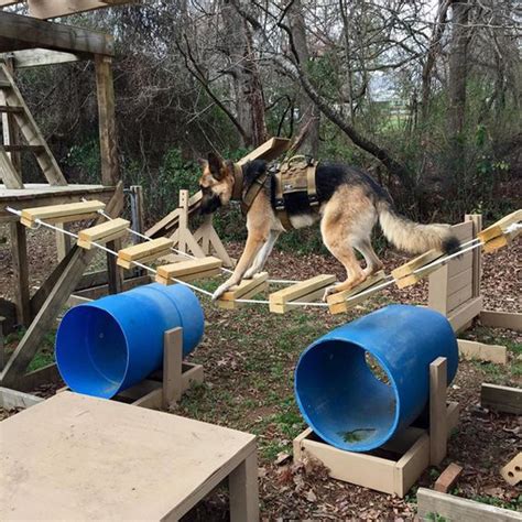Incredible Diy Dog Playground Design In Backyard Homemydesign