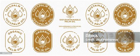제품 포장을 위한 개념 라벨은 천연 유기농 야자 오일입니다 지속 가능한 야자유 유도체 액체 성분 라인으로 팜 방울을 떨어 뜨립니다 벡터 집합입니다 기름 야자에 대한 스톡