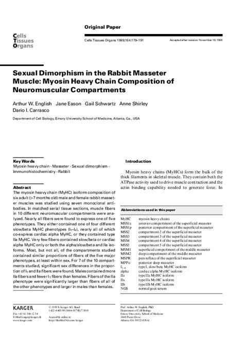 Pdf Sexual Dimorphism In The Rabbit Masseter Muscle Myosin Heavy