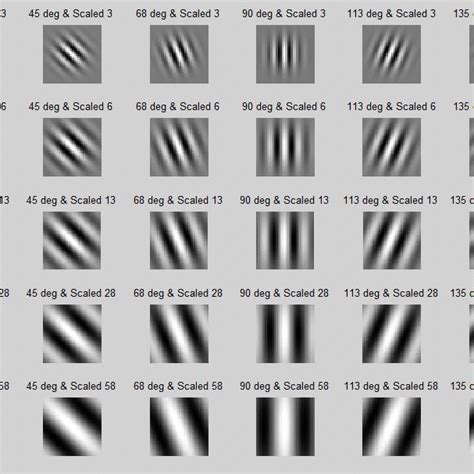 5 Different Spatial Frequencies And 8 Different Directions For Gabor