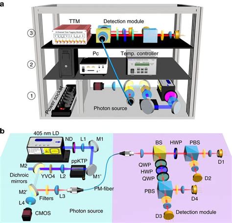Photonic Entanglement In Accelerated Reference Frames