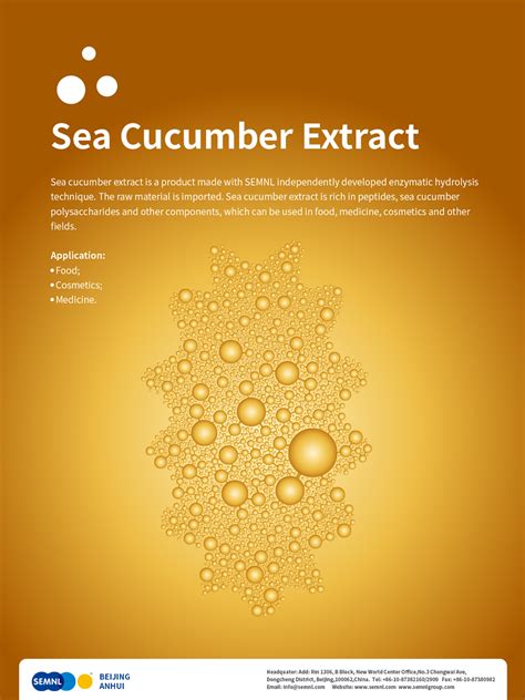 Sea Cucumber Extract Wholesale