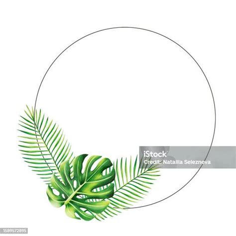 수채화 프레임은 흰색 배경에 고립된 몬스테라와 손바닥의 사실적인 열대 삽화가 있다 아름 다운 식물 손으로 그린 꽃 요소 디자이너 스파 장식 엽서 결혼식 인사말 배경 화면