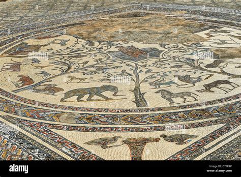 Roman Mosaic From The House Of Orpheus Volubilis Archaeological Site