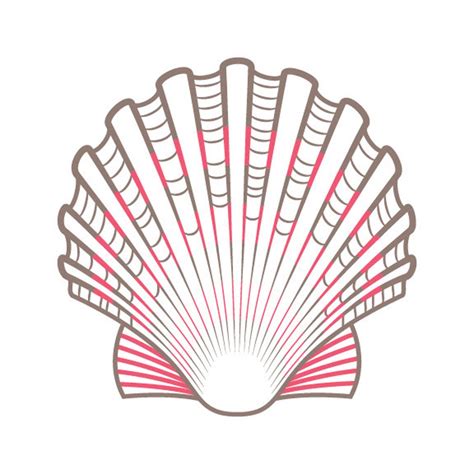 Scallop Shell PDF Hand Embroidery Pattern Etsy