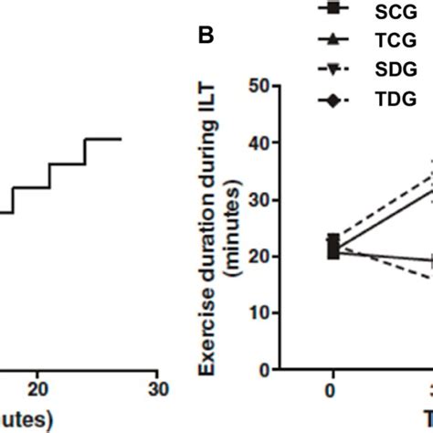 Exercise Training Improves Exercise Tolerance In An Incremental Load Download Scientific