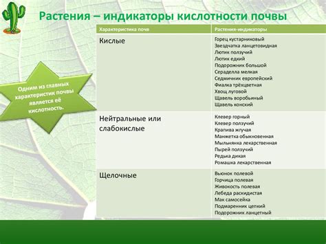 Растения и животные индикаторы экологической чистоты презентация онлайн