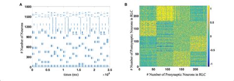 a the spike trains of the whole neural network during r stdp