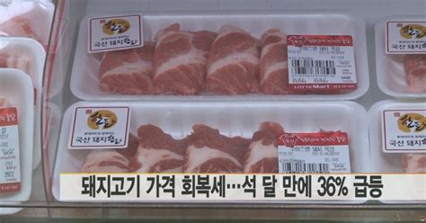 돼지고기 가격 회복세석달만에 36 급등