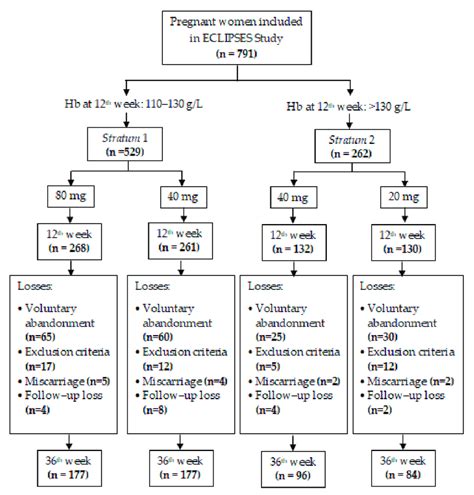 Flowchart Of The Study Nutrients X FOR PEER REVIEW Of Download Scientific Diagram