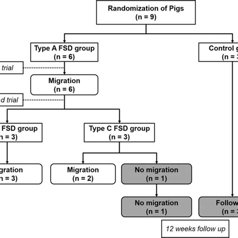 Flow Diagram Showing The Steps Of FSD Placement FSD Full Sense Device Download Scientific