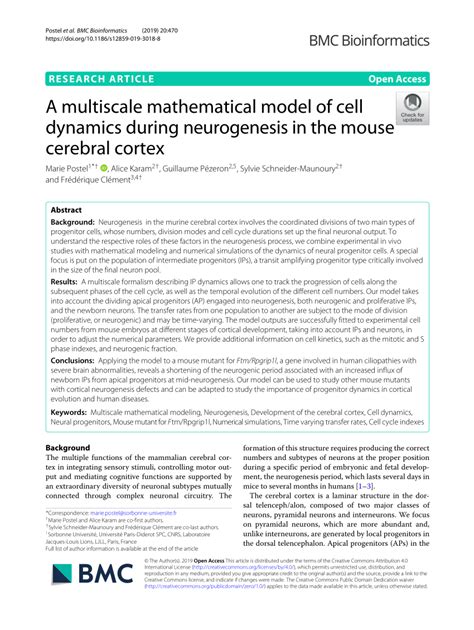 Pdf A Multiscale Mathematical Model Of Cell Dynamics During