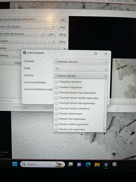 Learning More About The Pixel Classifier Image Analysis Imagesc Forum