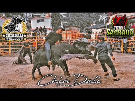 Jaripeo Ranchero Con Los Toros De Rancho Tierra Sagrada En San Andres