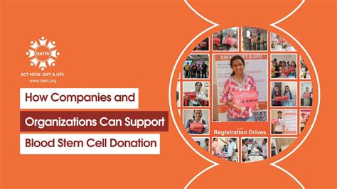 Blood Stem Cell Donation How Organizations Can Support With Datri