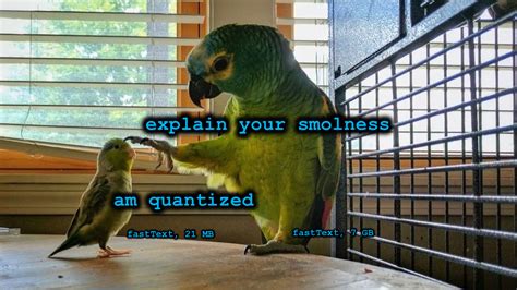 Compressing Unsupervised Fasttext Models Towards Data Science