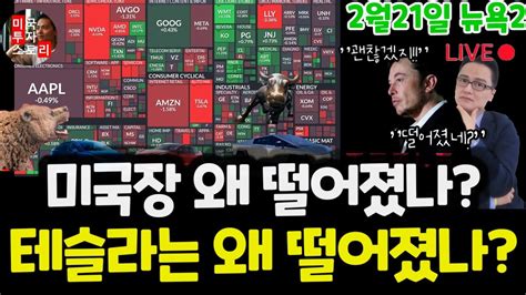 미국주식시황오늘 왜 떨어졌나 테슬라는 왜 더 떨어졌나 엔비디아는 왜 폭락했나구글 애플 아마존 메타 마이크로소프트 리비안