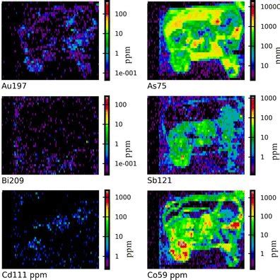 LA ICPMS Images With Logarithmic Color Scales In Ppm Showing Trace