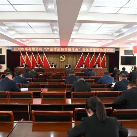 善治红兴隆江川农场有限公司召开产业体系和营销体系双体系建设推进会议 工作 发展 鄢建宾