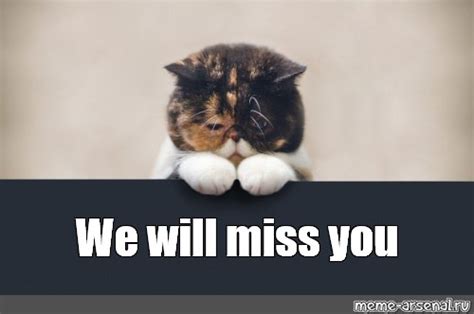 Meme We Will Miss You All Templates Meme