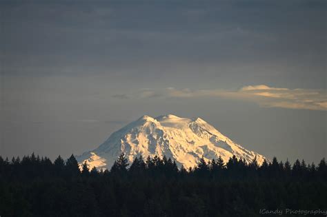 Cannuli T Photography Added A New Cannuli T Photography