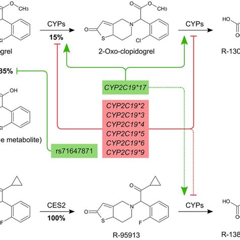 Likely Modes Of Aspirin Resistance Poor Response To Aspirin May Be