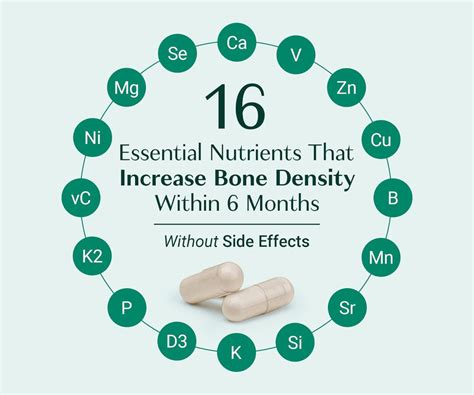 Paws Paradise Algaecal Bone Builder Pack For Bone Density Clinically