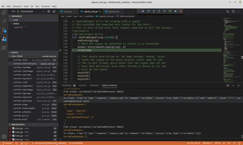 Ui To Examine Core Dumps · Issue 3169 · Microsoftvscode Go · Github