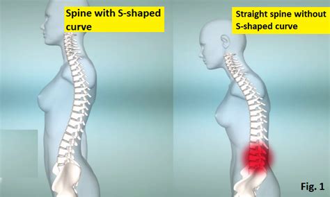 Blog For Acupuncture And Home Therapy Cozy Acupuncture In Salem Ma