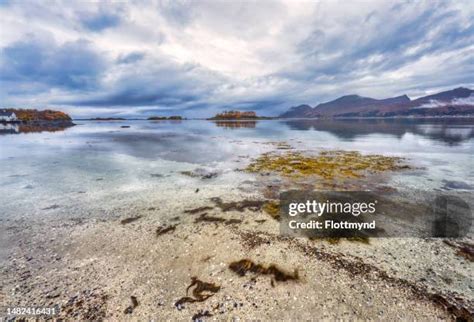 Actic Circle Photos And Premium High Res Pictures Getty Images