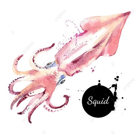 Watercolor Hand Drawn Squid Banner Template Download On Pngtree Watercolor Hand Drawn Squid Banner Template Download On Pngtree