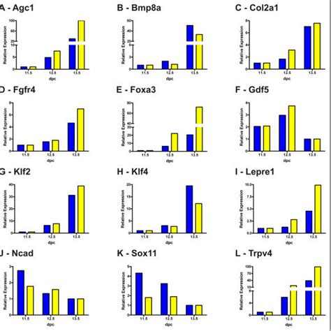 Microarray Differential Expression Profiles Of Selected Developmental Download Scientific