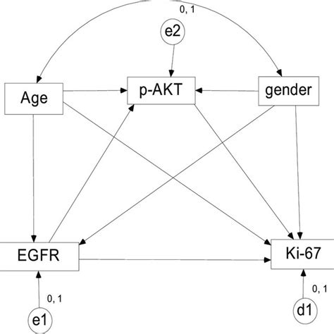 Structural Equation Modeling For Mediation Effect Dependent Variable Download Scientific