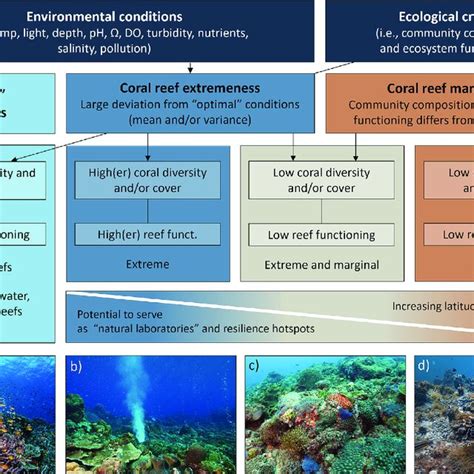 A New Classification Framework To Differentiate Extreme Versus Marginal