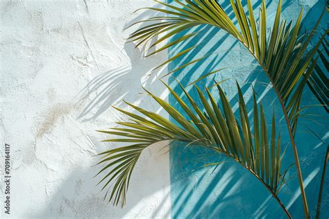 화이트 블루 배경의 벽에 열대 야자수잎과 그림자 素材庫相片 Adobe Stock