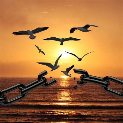 Joshua Soloway On Linkedin New Blog Post