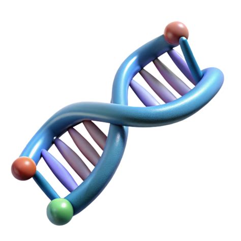Extraordinary Artistic Genetic Modification Dna Strand Isolated High Quality 58024761 Png
