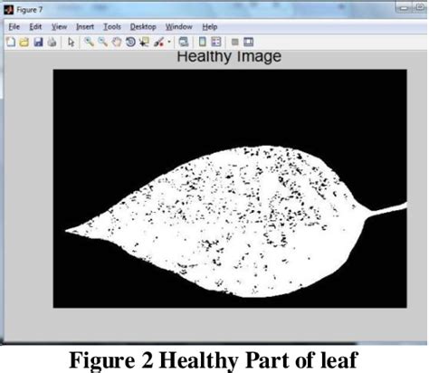 Figure From Plant Disease Detection Using SVM Algorithm And Neural Network Approach Semantic