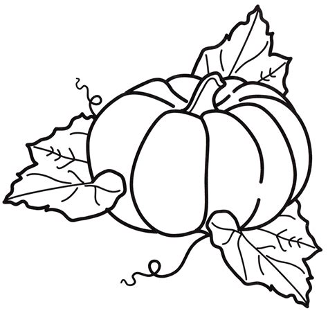 Тыква картинка для детей на прозрачном фоне раскраска