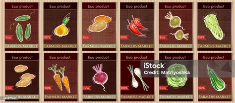 야채 씨앗 패킷 템플릿입니다 야채 배너 세트를 스케치 합니다 에코 빈티지 식품입니다 자연 야채 씨앗 패킷 손에 그린 벡터 씨앗 봉투에 대한 스톡 벡터 아트 및 기타 이미지